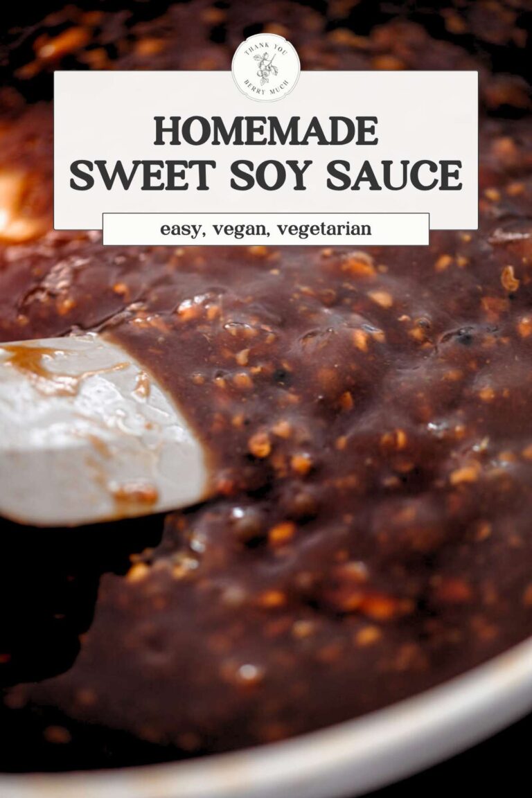 Homemade Sweet Soy Sauce - Thank You Berry Much