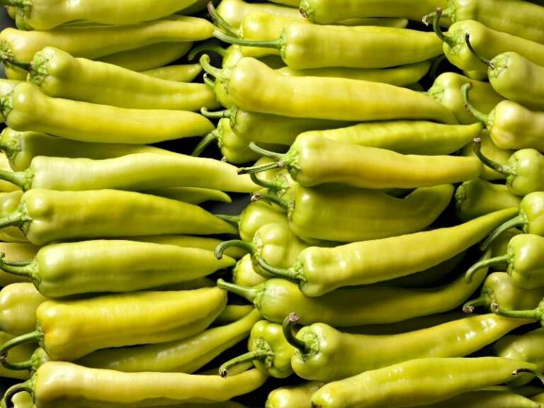 How Hot is Wasabi? Spiciness on the Scoville Scale Explained