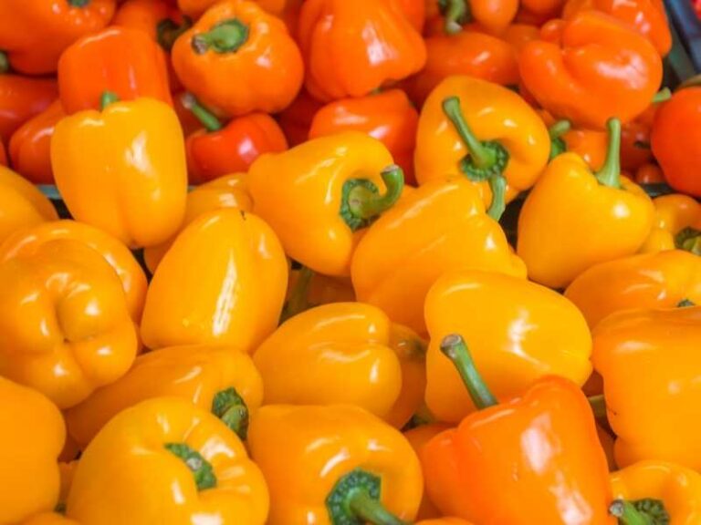 How Hot is Wasabi? Spiciness on the Scoville Scale Explained