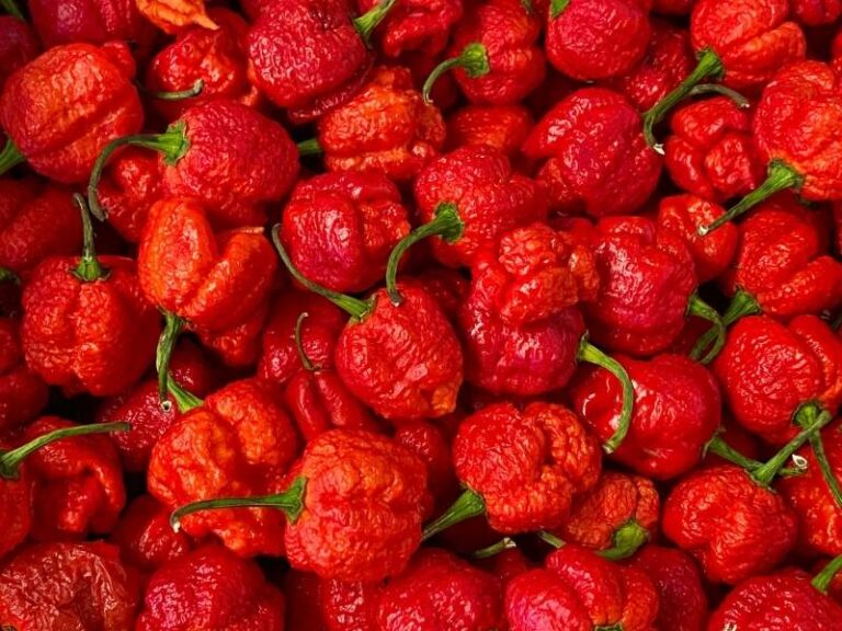 How Hot is Wasabi? Spiciness on the Scoville Scale Explained