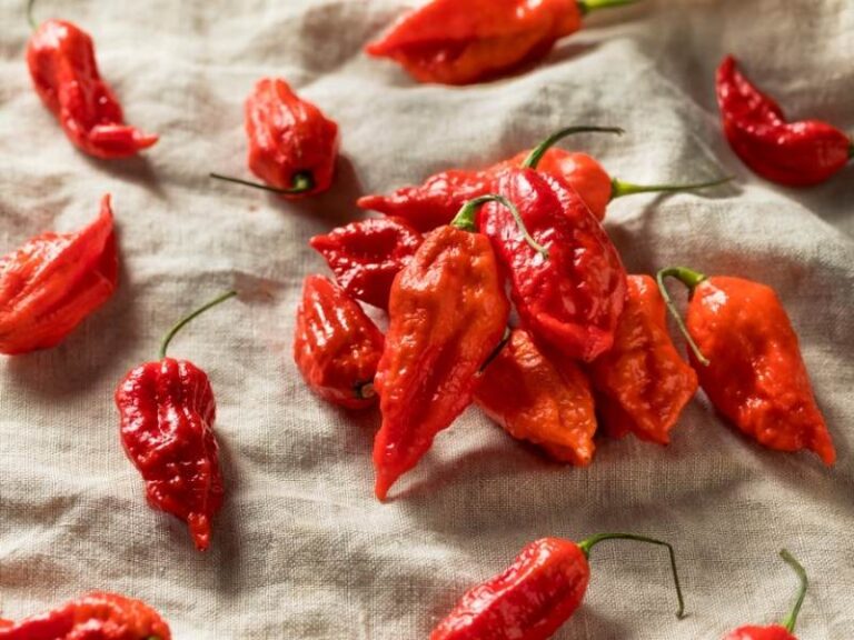 How Hot is Wasabi? Spiciness on the Scoville Scale Explained