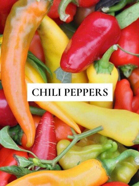 How Hot is Wasabi? Spiciness on the Scoville Scale Explained