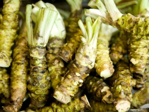 How Hot is Wasabi? Spiciness on the Scoville Scale Explained