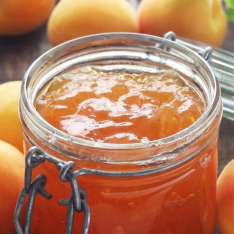 15 Best Substitutes for Apricot Jam