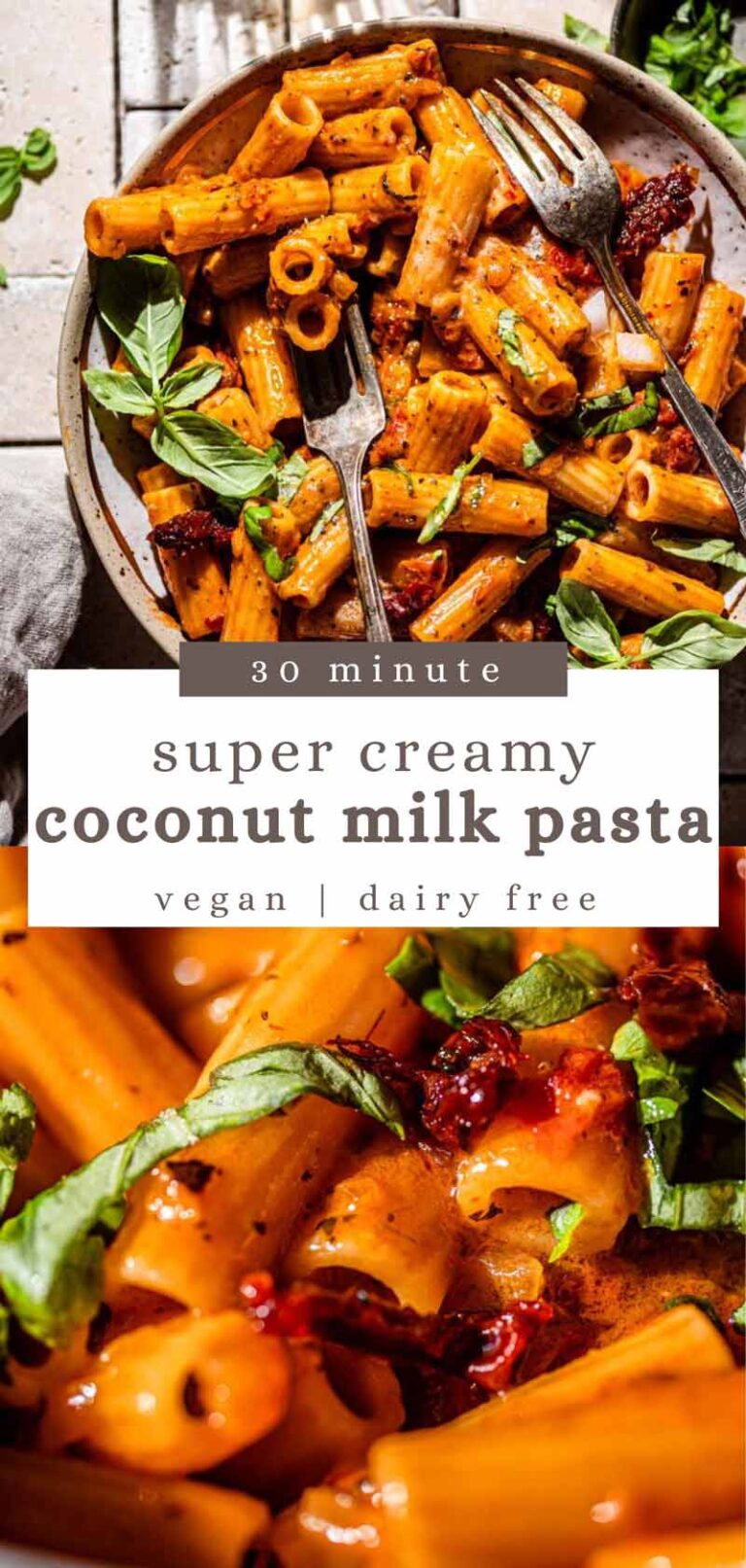 Creamy Coconut Milk Pasta Sauce (Vegan)