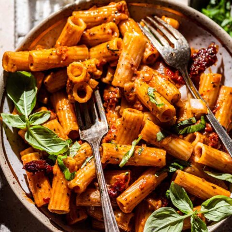 Creamy Coconut Milk Pasta Sauce (Vegan)