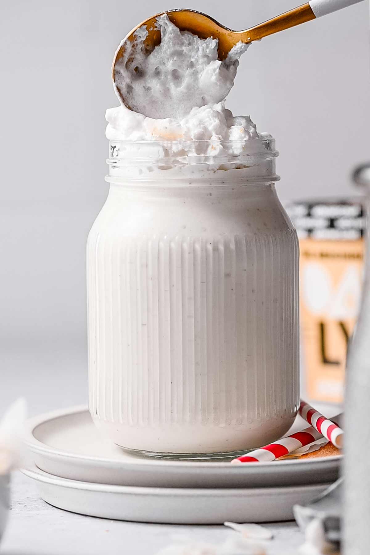 Creamy Coconut Milkshake