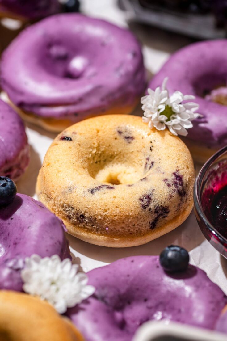Baked Blueberry Donuts with Glaze – Easy Cake Donut Recipe